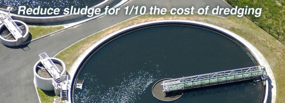 sludge-reduce-banner - Probiotic Solutions®